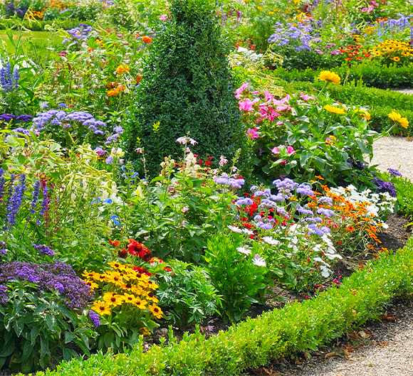 Landscapers - Nelson Plant Food