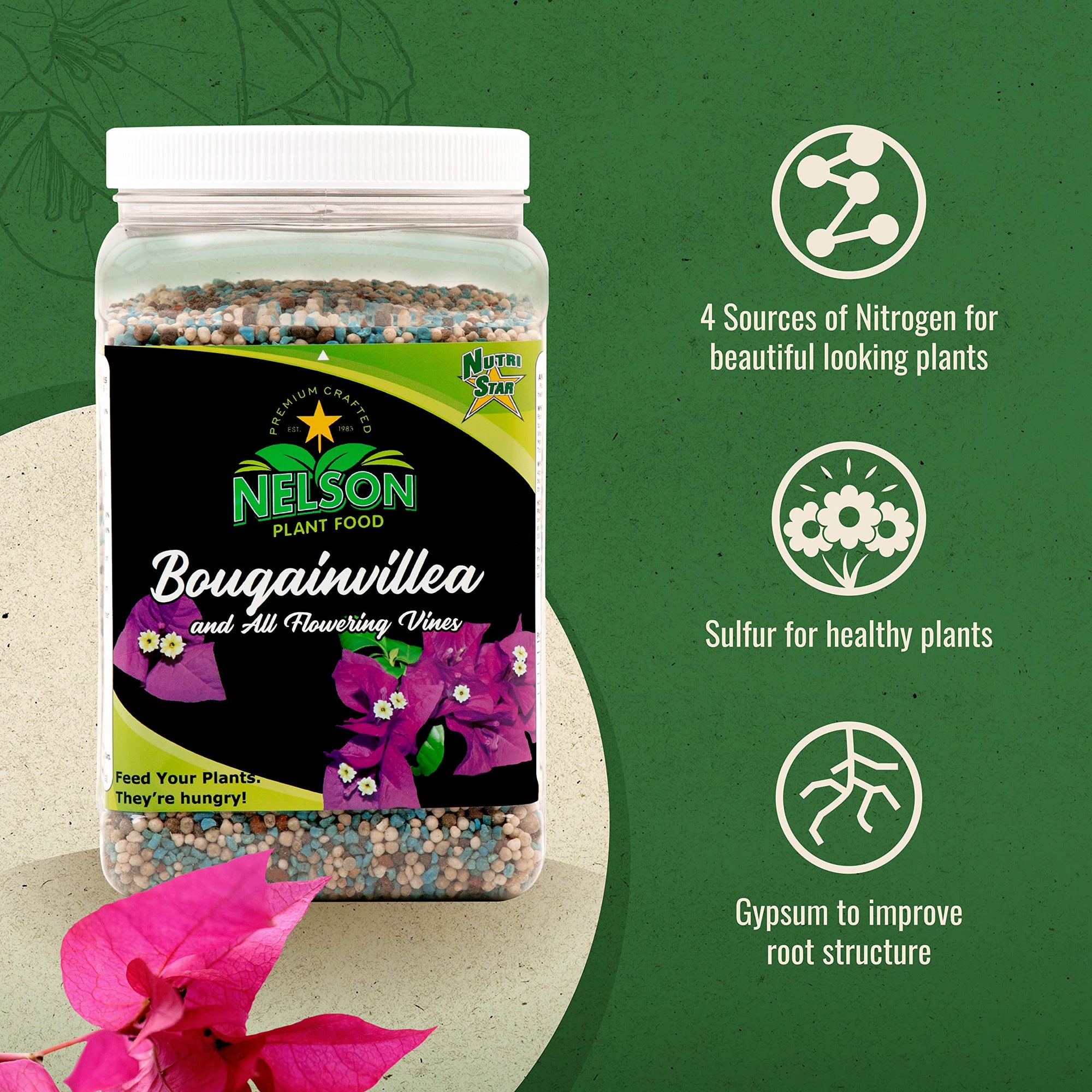 NutriStar Bougainvillea - Nelson Plant Food