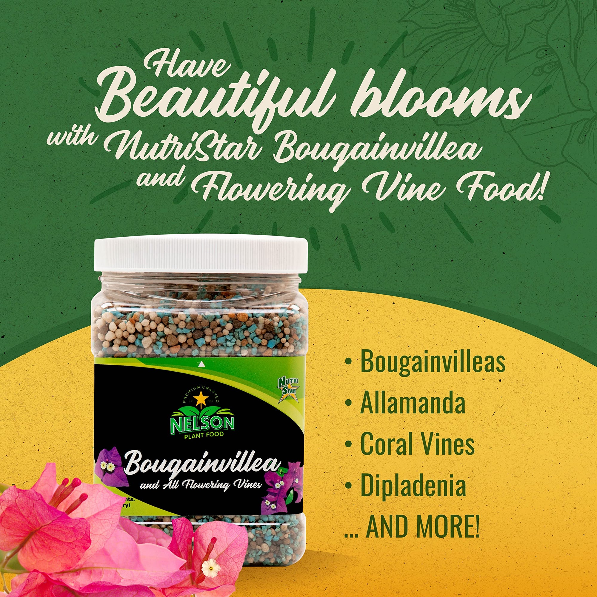 NutriStar Bougainvillea - Nelson Plant Food
